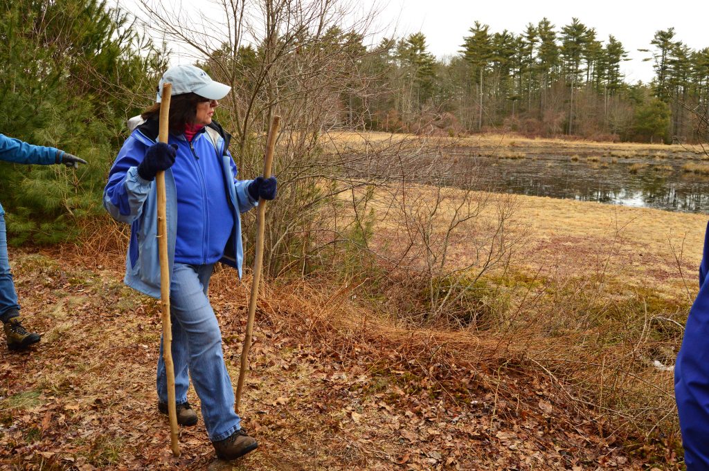 2014-03-29 River Discovery Walk at Westgate Conservation Area Wareham ...
