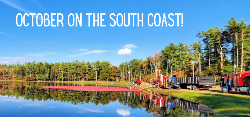 8 Great Things: Your October To Do List - South Coast Almanac