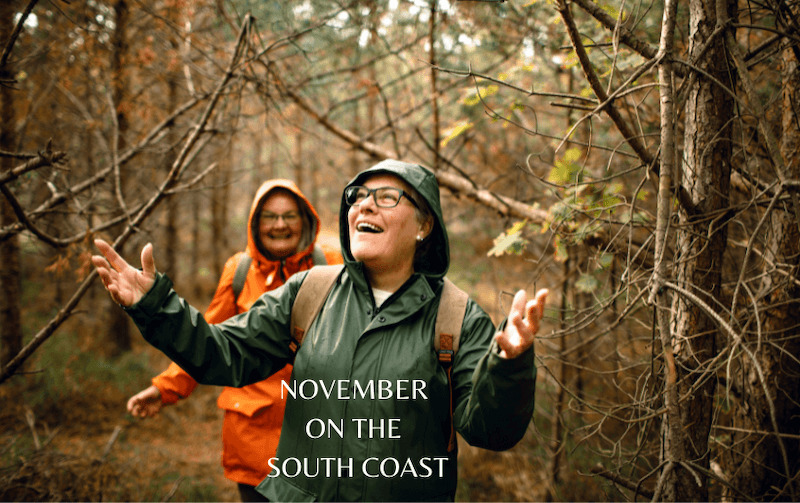 8 Great Things: the South Coast in November - South Coast Almanac